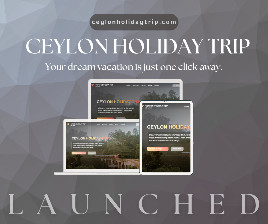 Pasindu Vidanapathirana - Software Engineer